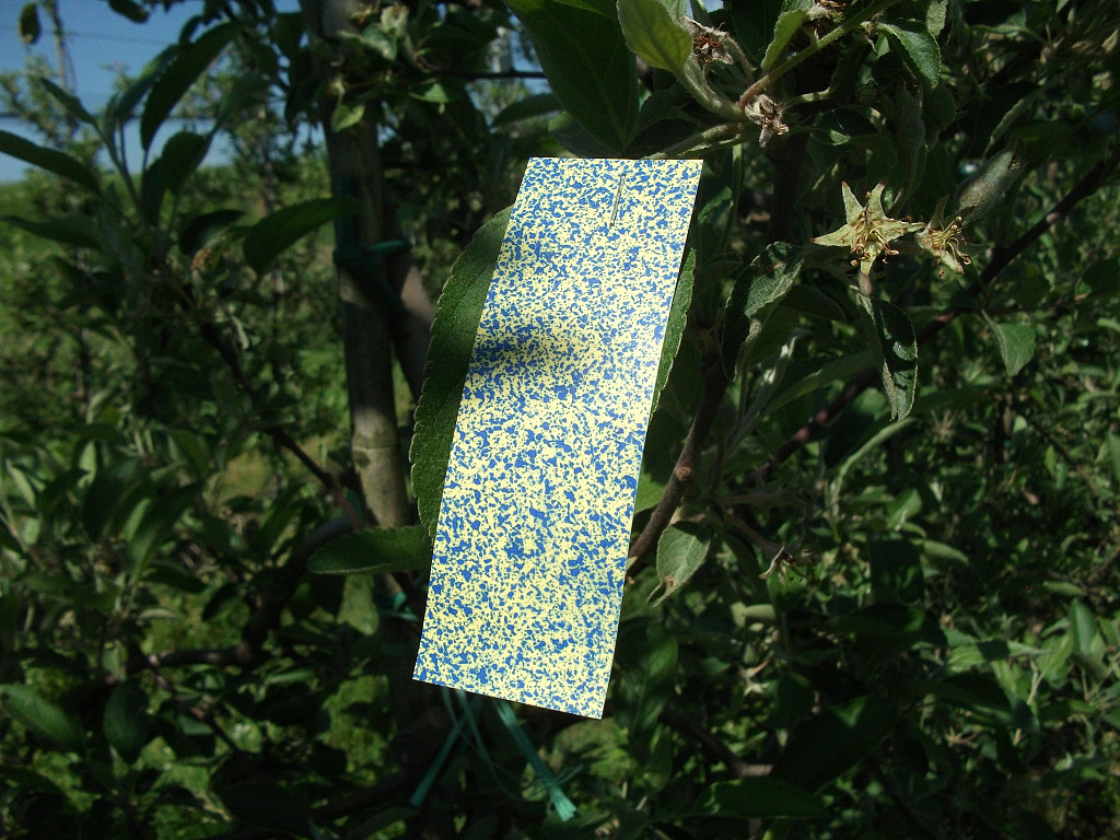 Water sensitive paper | Shop Zupan d.o.o.